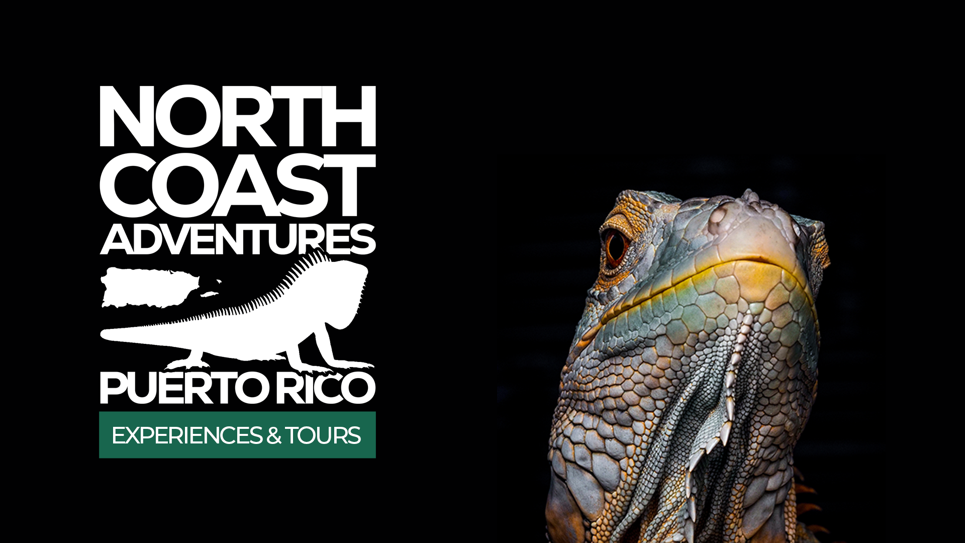 Hunting & Outdoor Experiences in Puerto Rico | North Coast Adventures ...